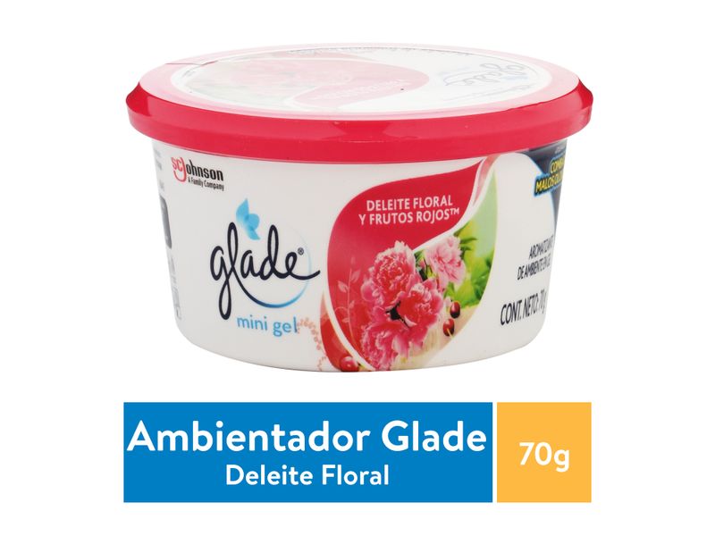 Comprar Mini Gel Glade Alegría floral y Frutos Rojos - 70gr | Walmart Costa Rica