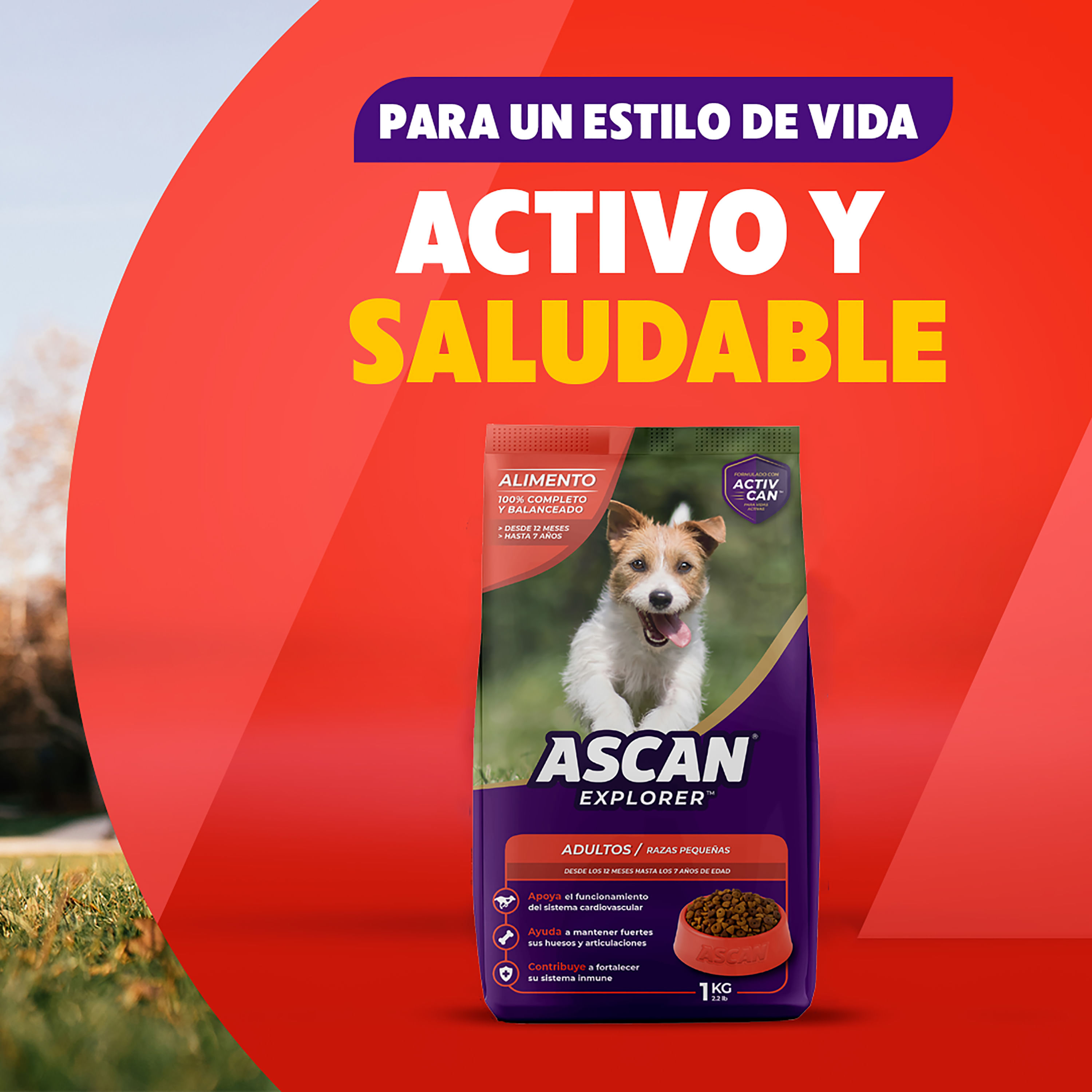 ComprarAlimento Ascan Perro Adulto, Razas Pequeñas - 1kg | Walmart ...