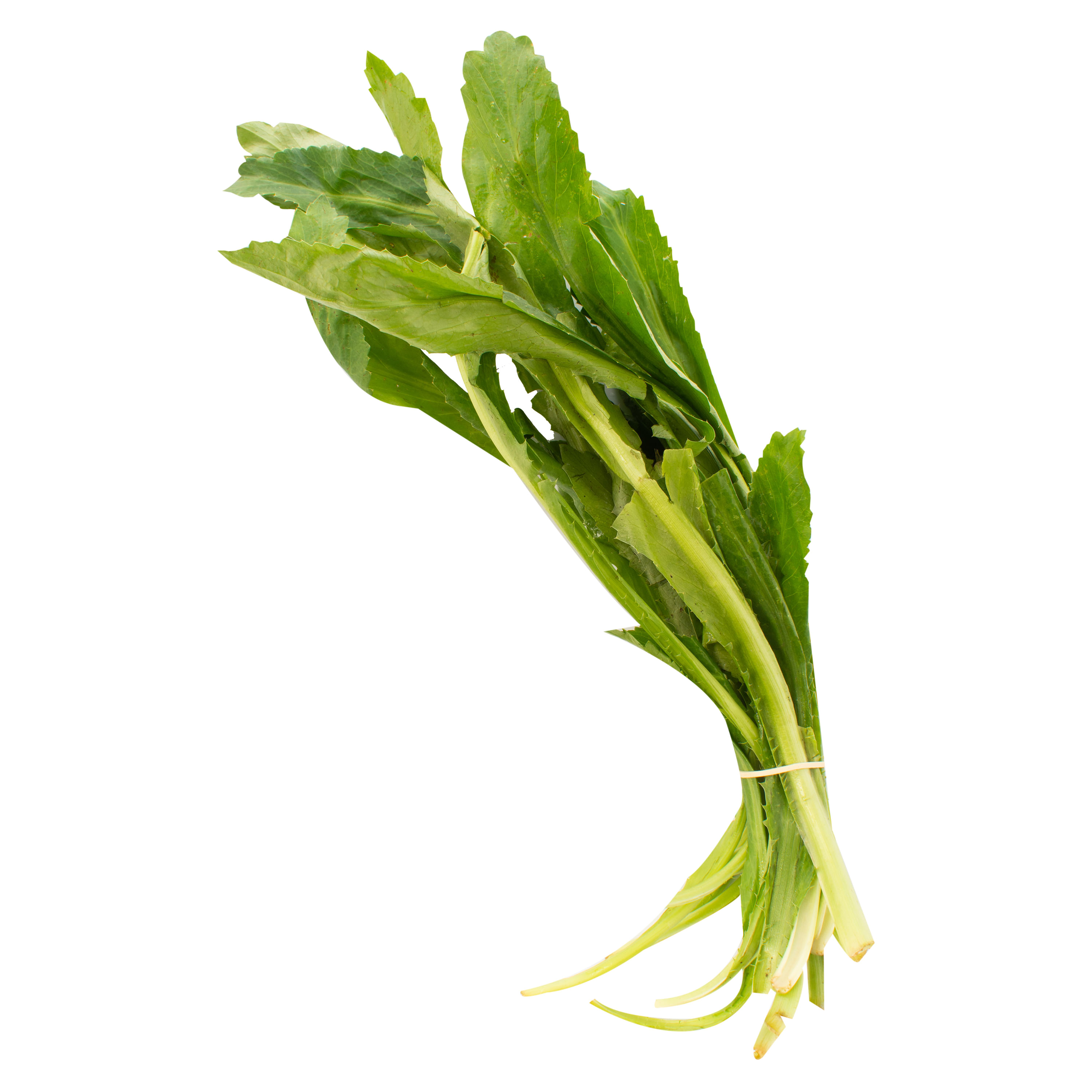 Comprar Culantro Coyote En Rollo | Walmart Costa Rica