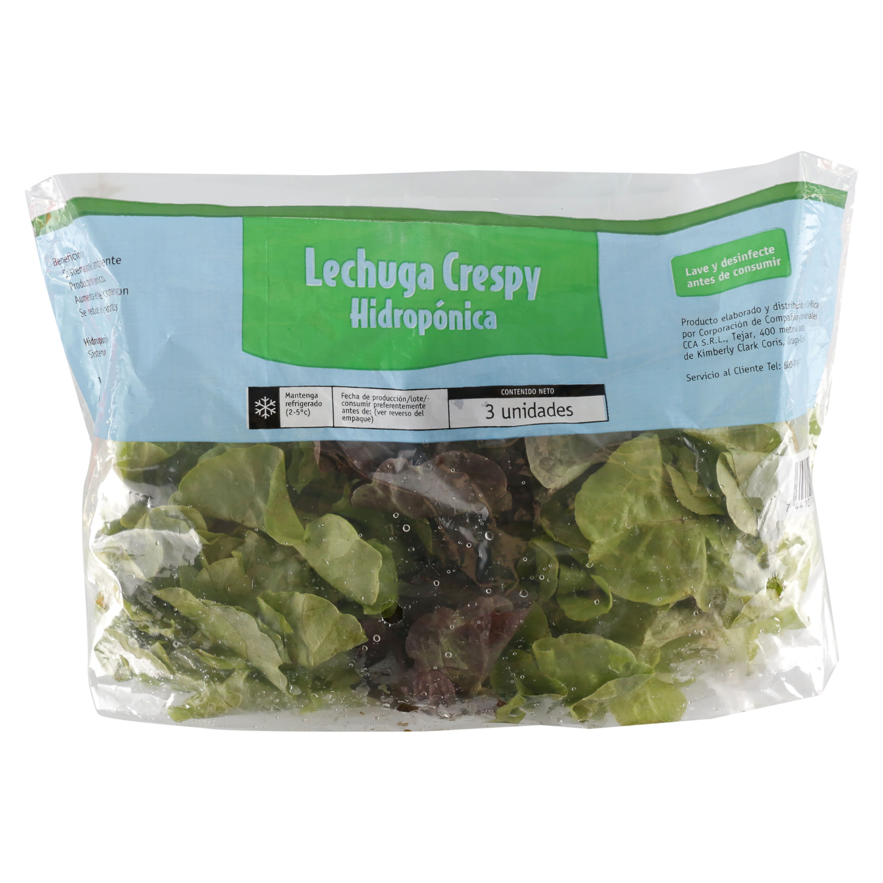 Comprar 3 Pack Lechuga Crespy Hidroponica | Walmart Costa Rica