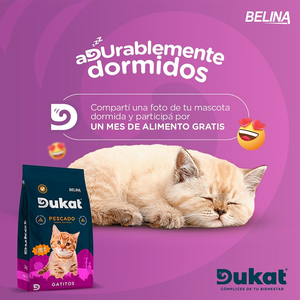 Comprar Alimento Dukat Para Gato Sabor Natural a Pollo - 400 g ...