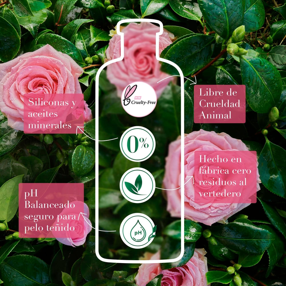 Comprar Shampoo Marca Herbal Essences Suavidad Rosa Mosqueta -400ml ...