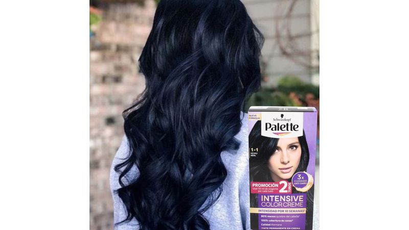 Color De Pelo Negro Azul Coloración Cor Intensa 2.1 Negro Azulado