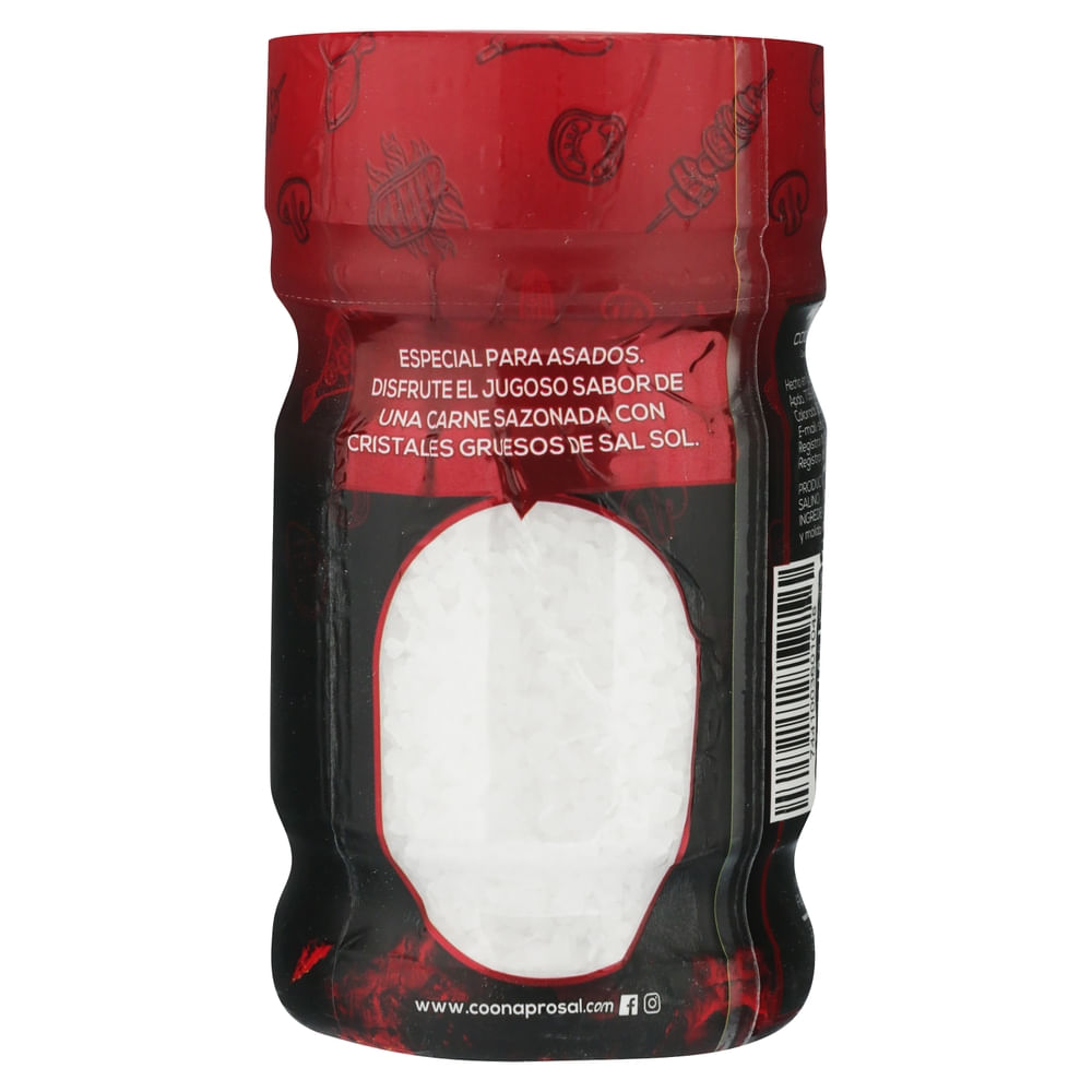 Comprar Sal Sol parrillera gruesa - 550 g | Walmart Costa Rica ...