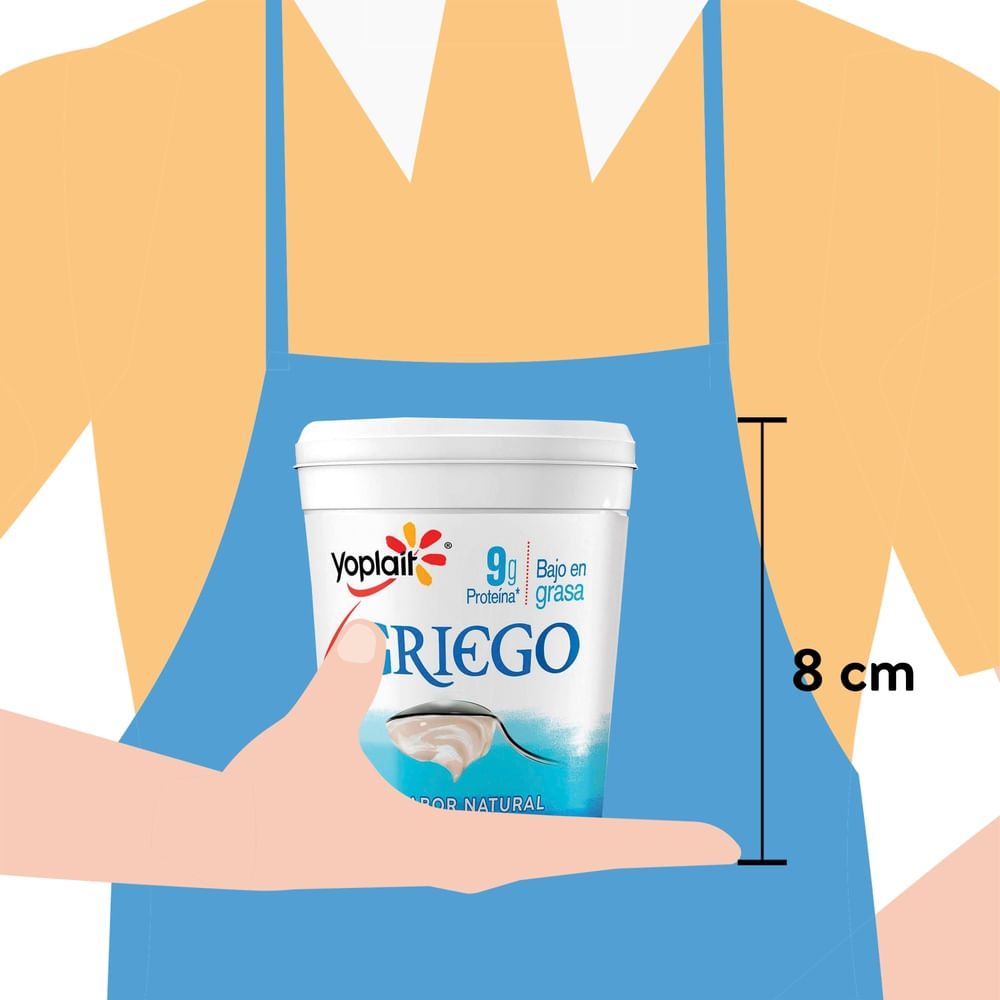 Comprar Yogurt Yoplait Griego natural - 442 g | Walmart Costa Rica ...