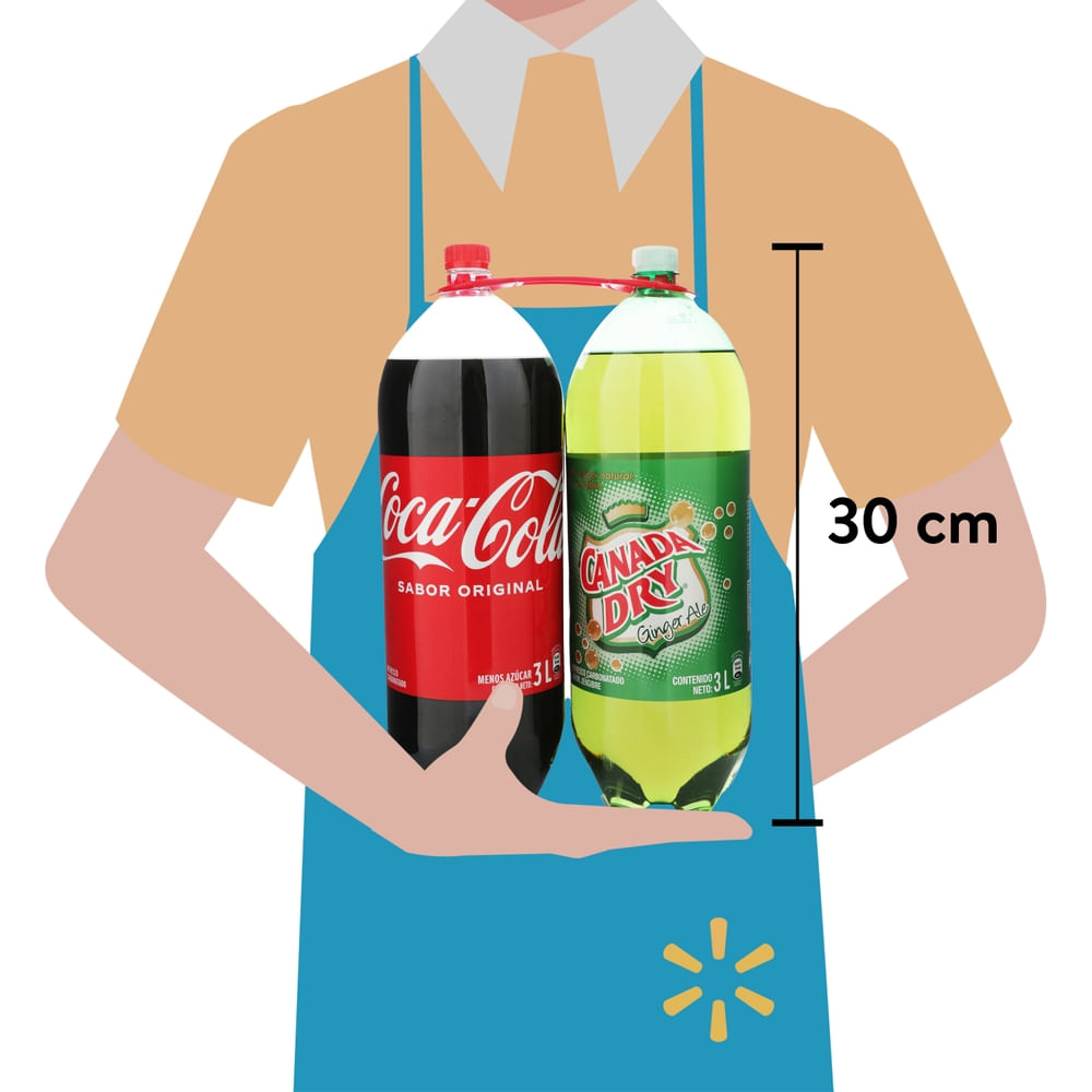 Comprar Gaseosa Coca Cola sabor original más canada dry 2 pack - 6 L ...